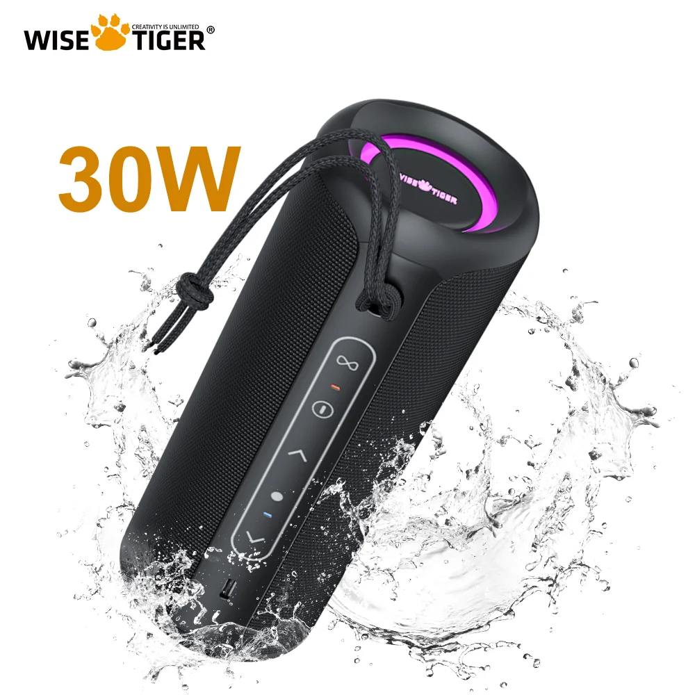 WISETIGER-Portable-Bluetooth-Speaker-30W-IPX7-Waterproof-Powerful-Sound-Box-Bass-Boost-Dual ...
