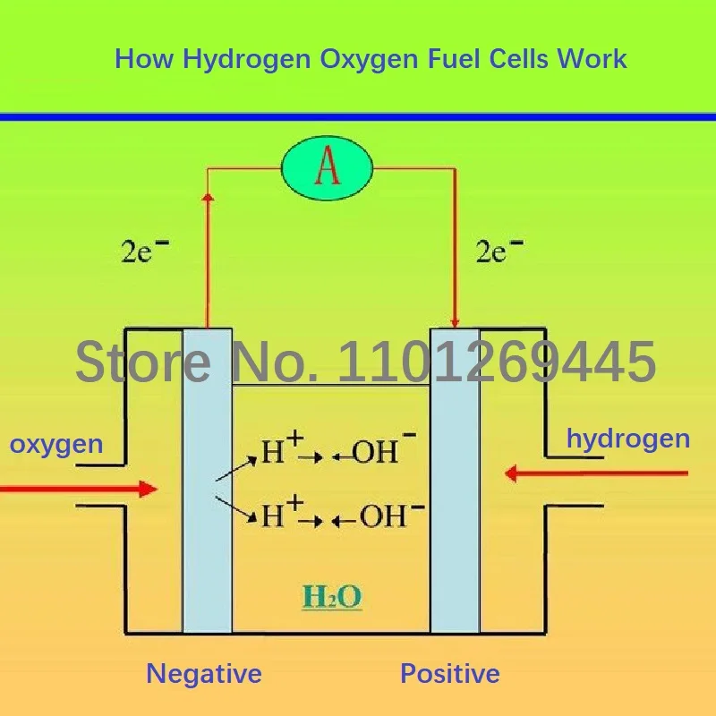 Hydrogen Oxygen Fuel Cell Diagram