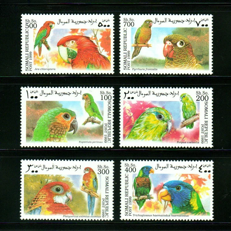 6 PCS, Somalia Post Stamp, 1999, Bird Stamps - Parrot, Real Original ...