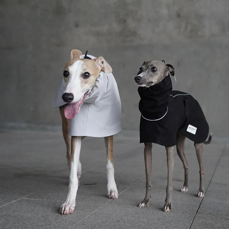 Lightweight Greyhound Raincoat Windproof Waterproof Dog Jacket Whybit ...