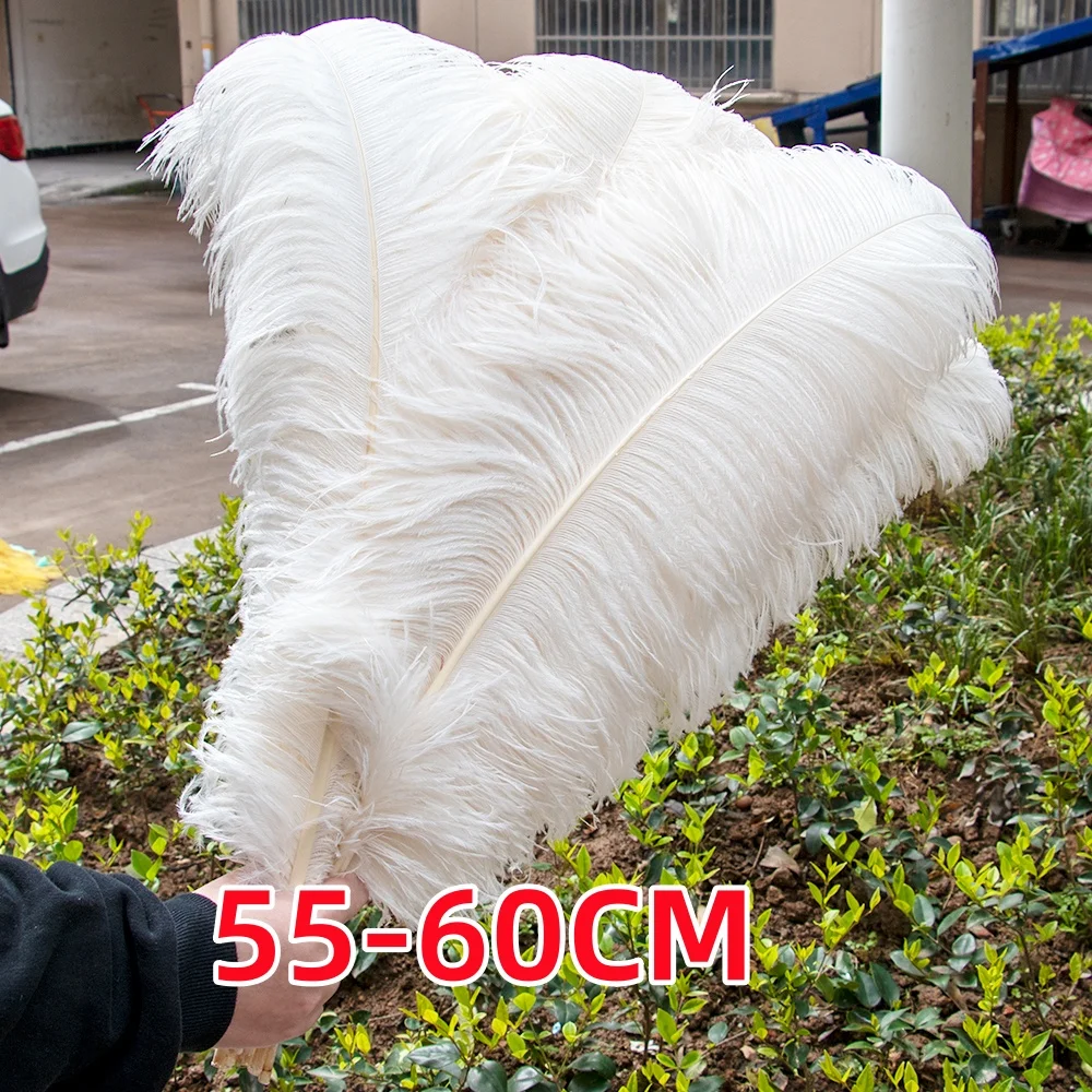 10Pcs Natural Fluffy Big Ostrich Feathers 15-60cm Wedding Home Party ...