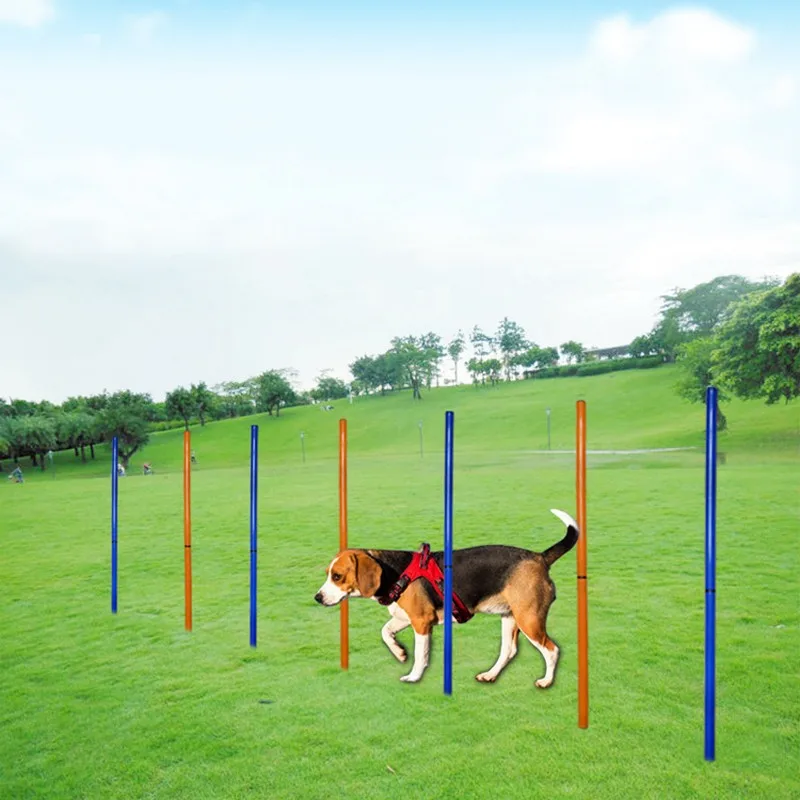 Pet-Dog-Agility-Poles-Training-Pet-Running-Obstacle-Poles-Training ...
