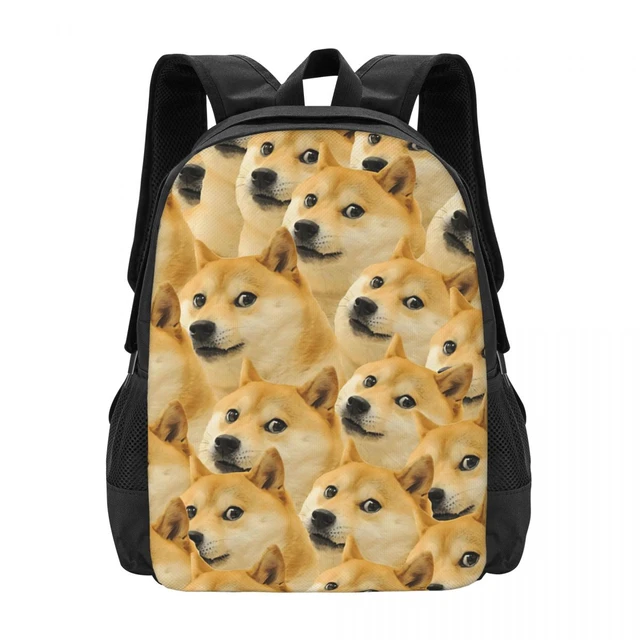 Shiba Inu Wow