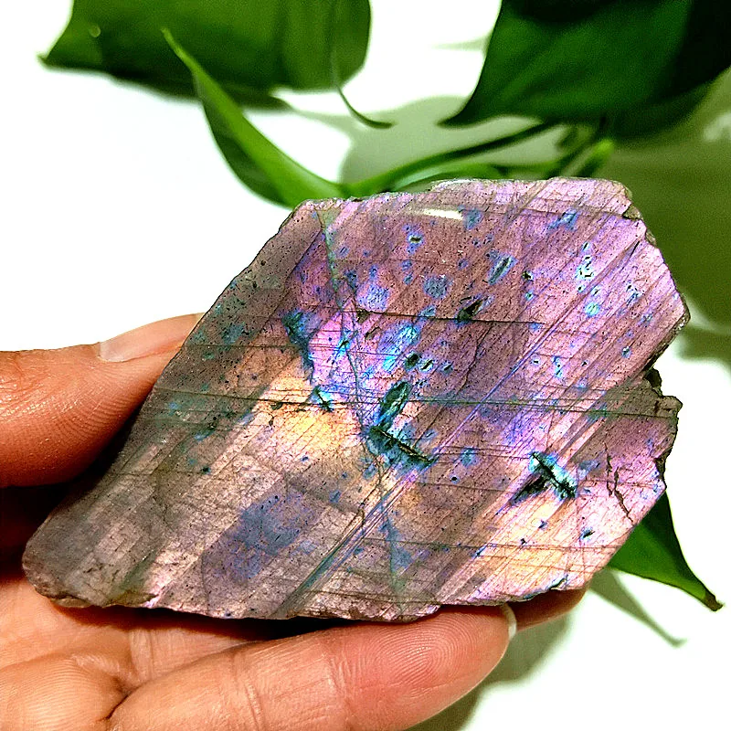 Natural Crystal purple Labradorite Section Magical Energy Heals The ...