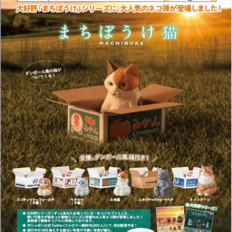 Bandai Gashapon Cute Kawaii Figurine The Cat In The Box Animal Doll ...