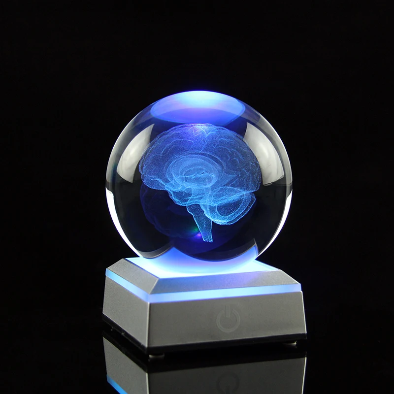 3D-Laser-Engraving-Cerebrum-Brain-Crystal-Ball-Miniature-Model-Global ...