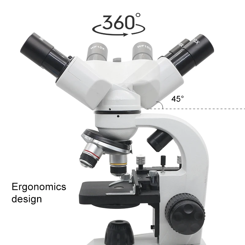 Binocular Compound Light Microscope