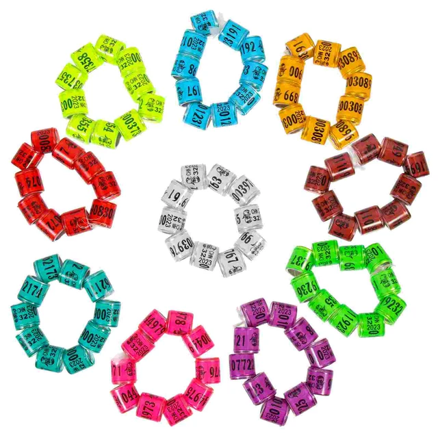 Pigeons As Pets Band Numbering