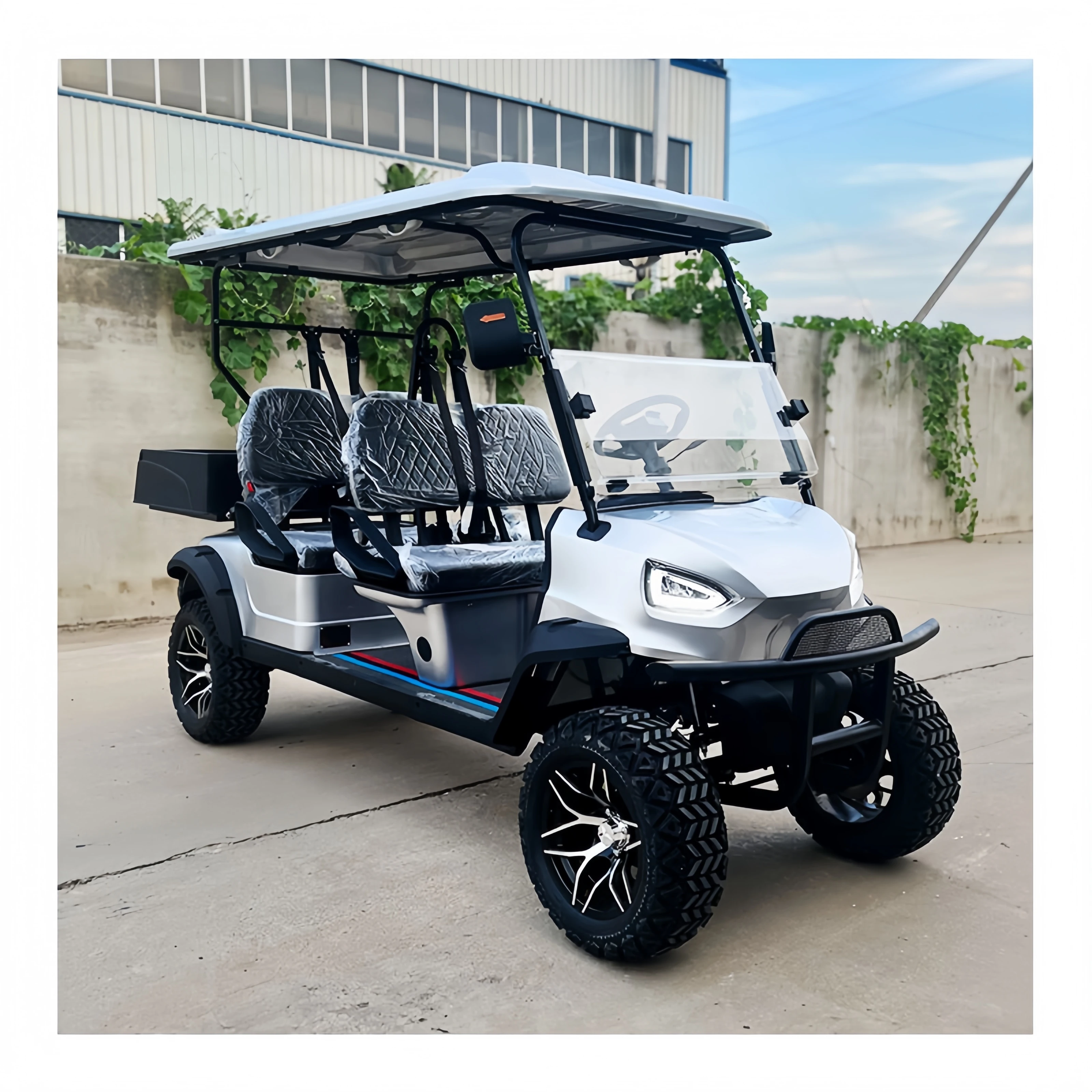 Affordable Chinese Electric Golf Cart: Real-World Performance on the ...