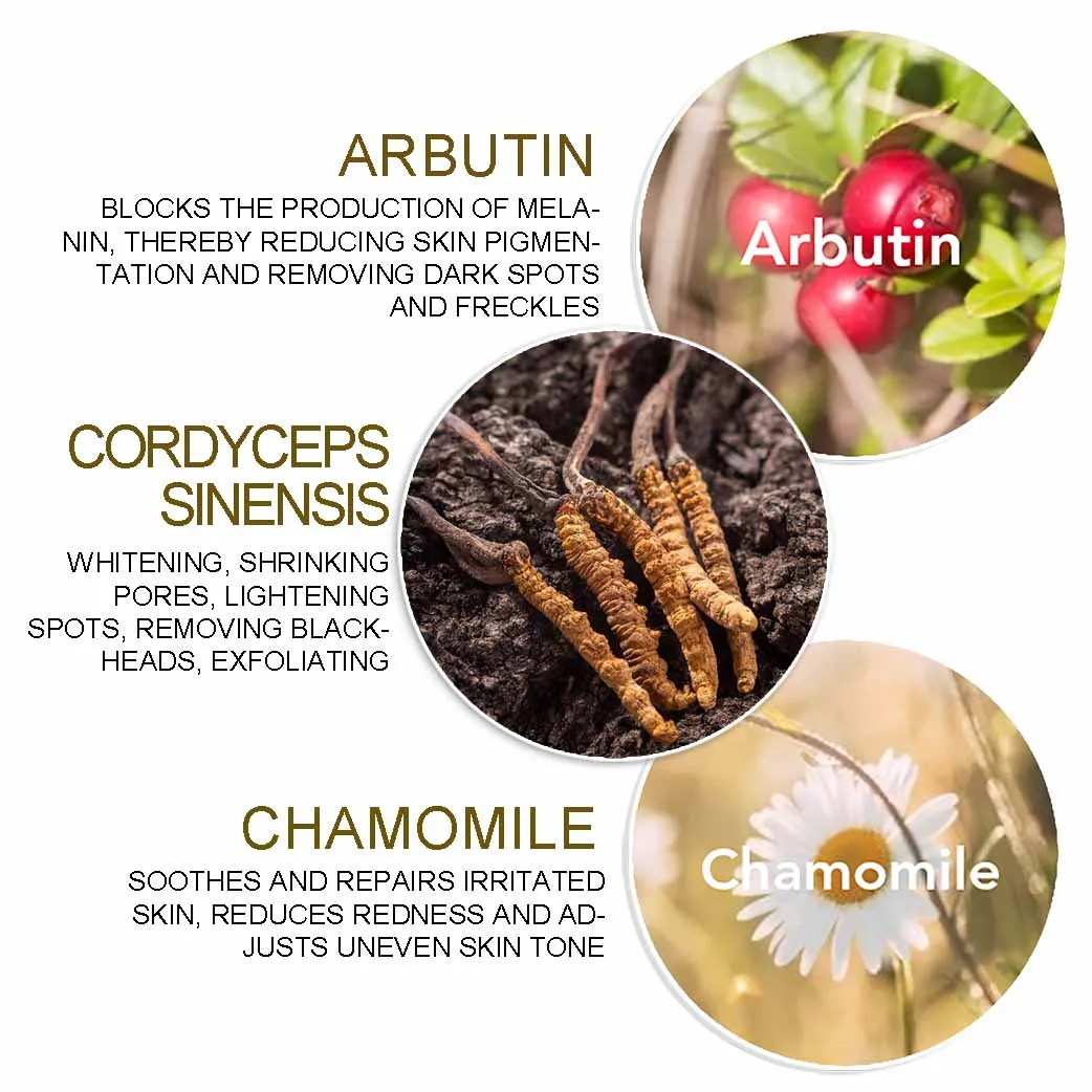 Cordyceps Sinensis Benefits
