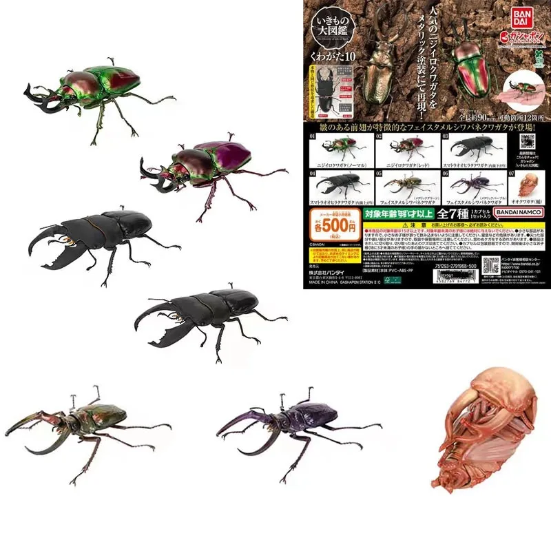 Exploring the Bandai Genuine Biological Encyclopedia Gashapon Toys Stag ...