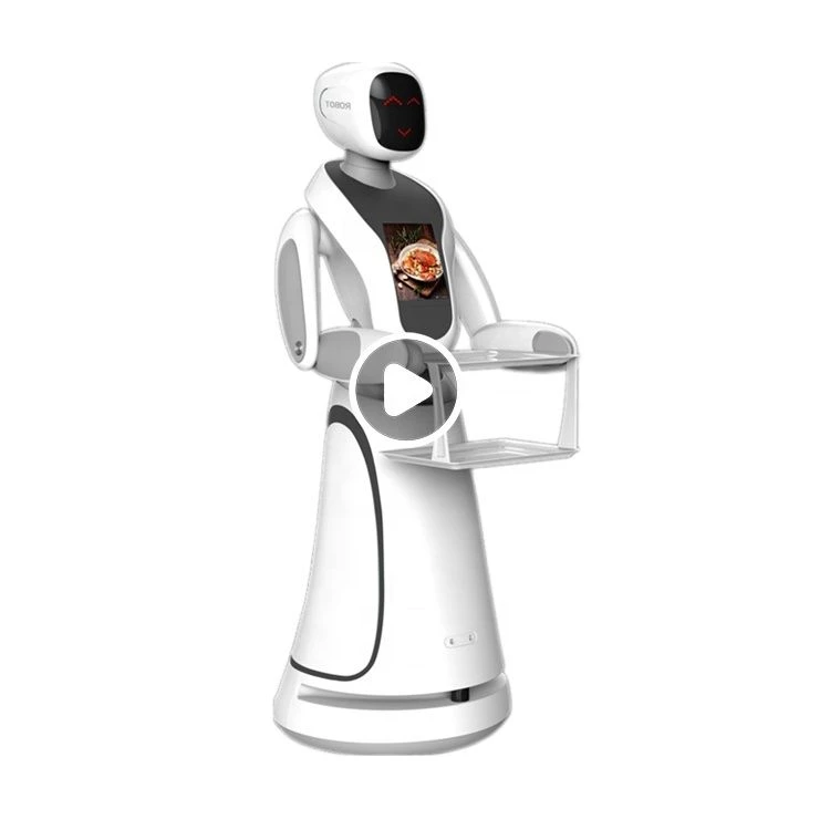 Csjbot – Robot Intelligent Humanoid, Restauration D'hôtel, Serveur De ...