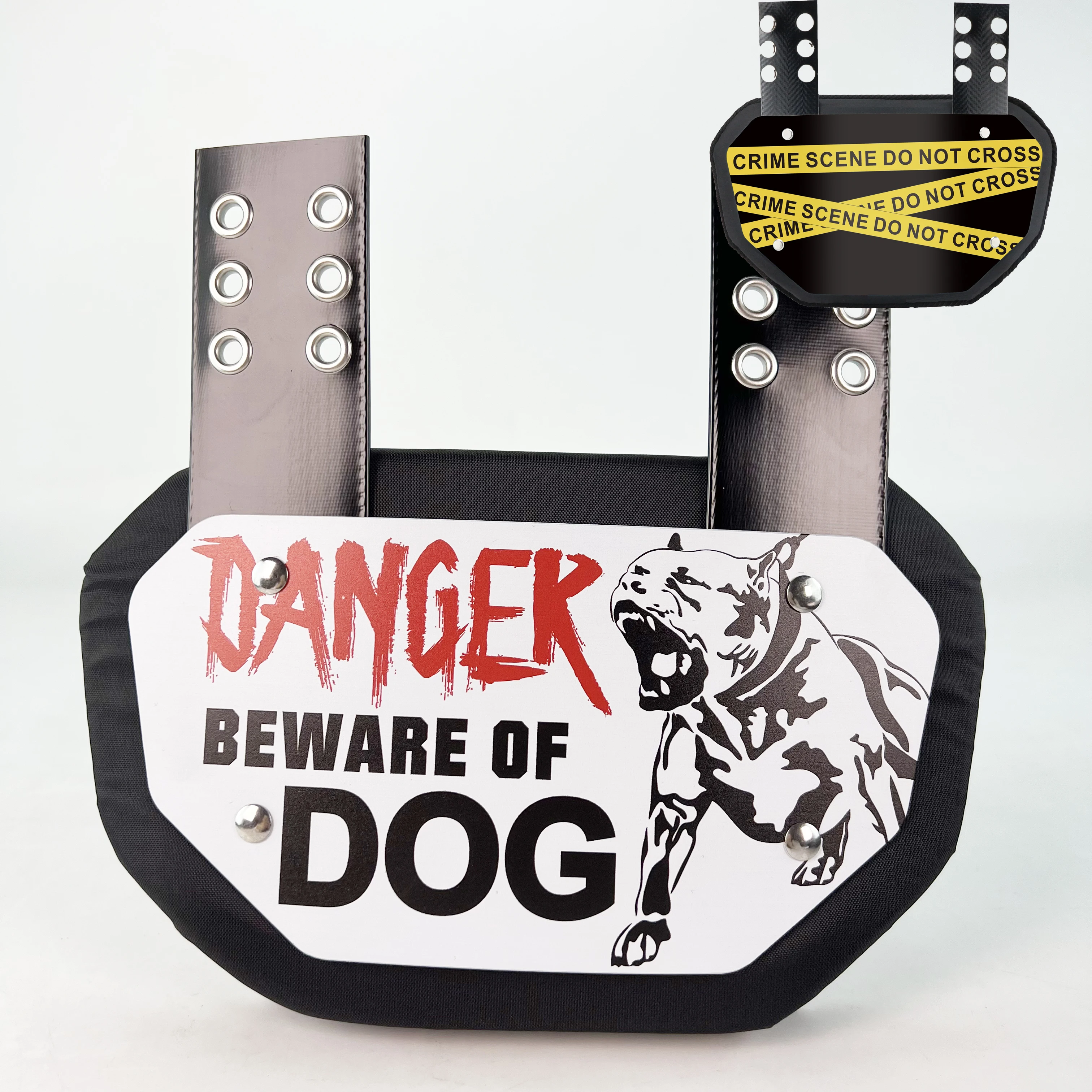 Special-Offer-Blemish-Football-Chrome-Back-Plate-Adult-Size-Rear ...