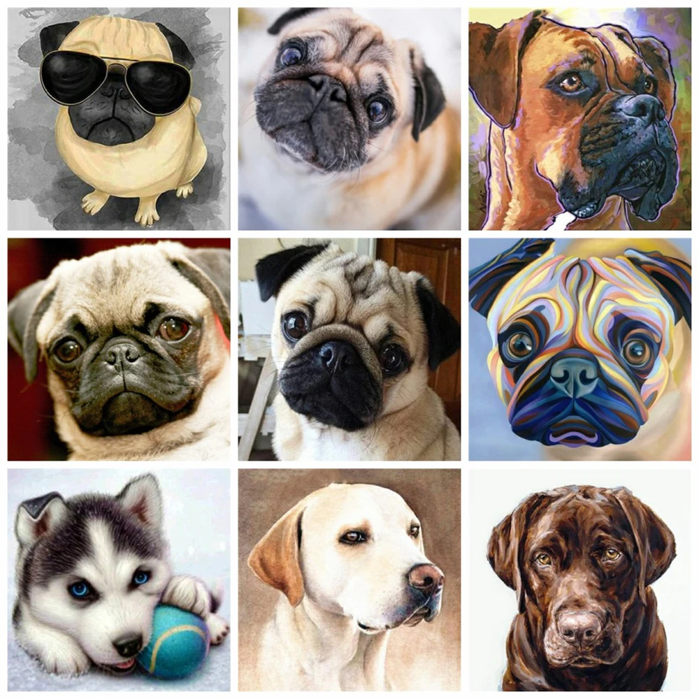 Diamond Embroidery Animals Pug | Diamond Painting Round Pug Dog ...