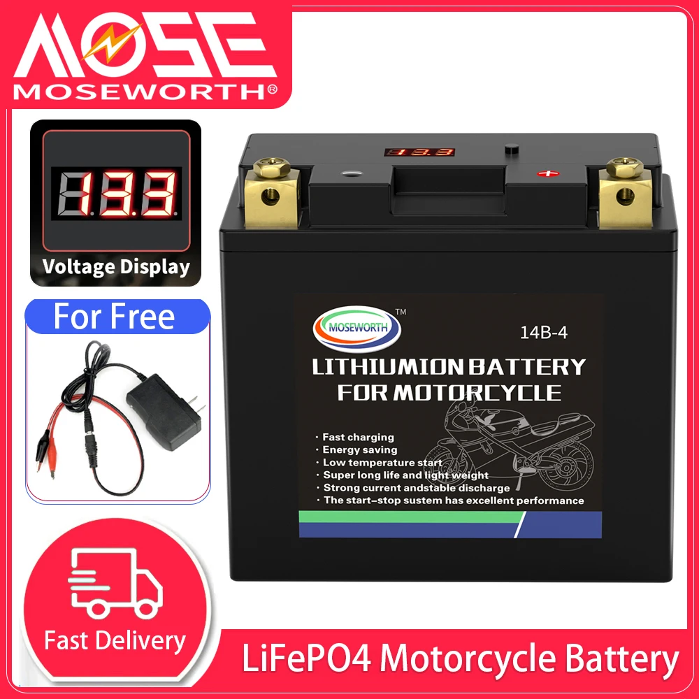 14-BS-12V-Motorcycle-Battery-9Ah-520CCA-LiFePO4-Batteries-Built-in-BMS ...