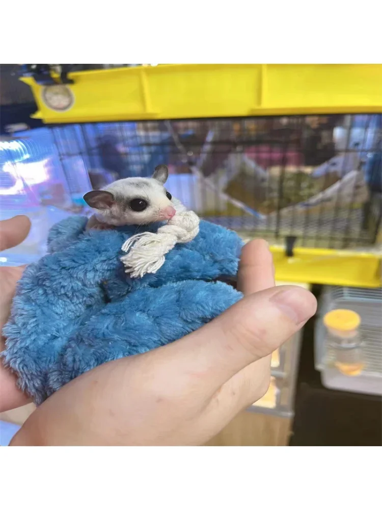 Hamac d'hiver chaud pour animaux de compagnie,sac de couchage court en ...