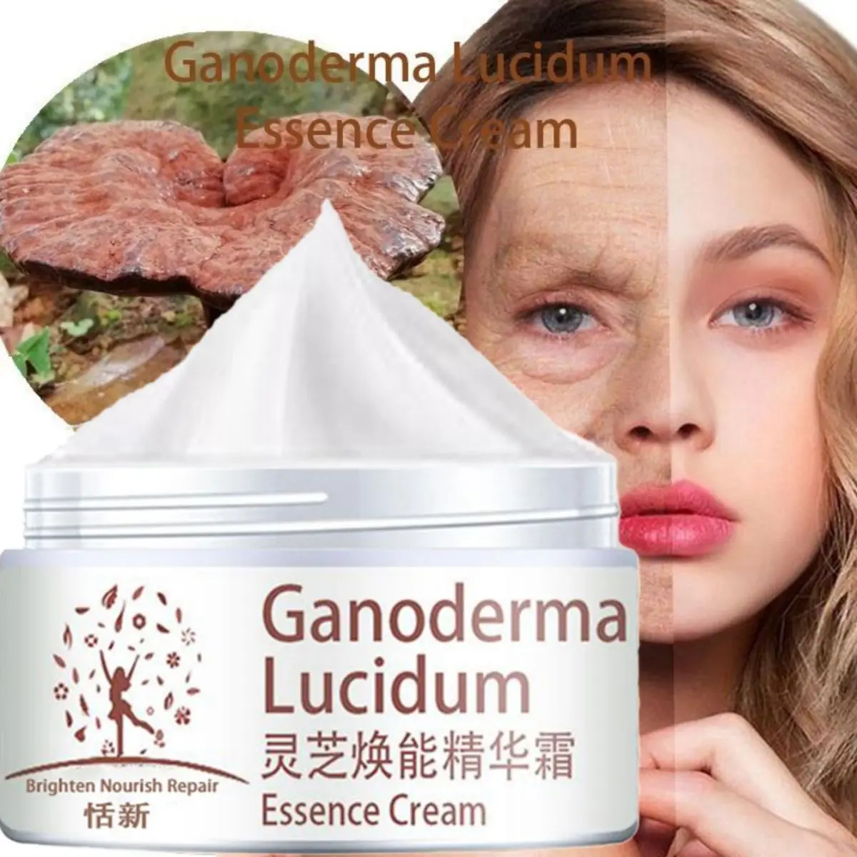 Natural-Herbal-Extract-Essence-Anti-aging-Ganoderma-Lucidum-Face-Cream ...