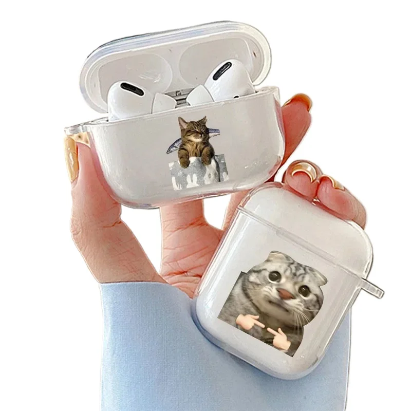 Apple Meme Cat Earphone Case: The Quirky, Practical Accessory Every ...