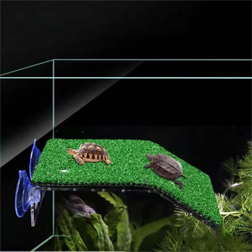 Turtle-Simulation-Lawn-Climb-Shelf-Water-Turtle-Floating-Island ...