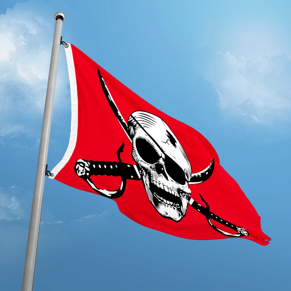 Pirate Flag Flying