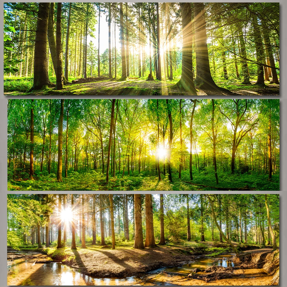 Natural Scenery Forest Panorama HD Pictures Canvas Painting Wall Art ...