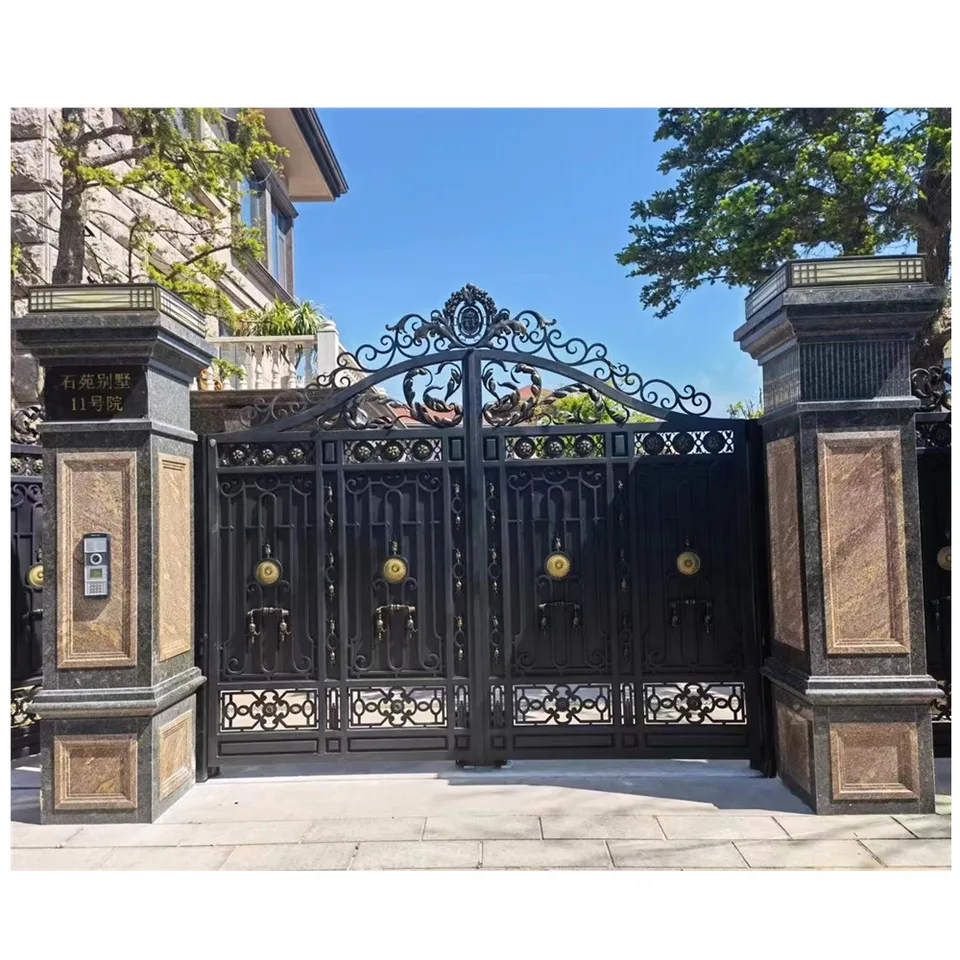 House Entrance Gate Designs