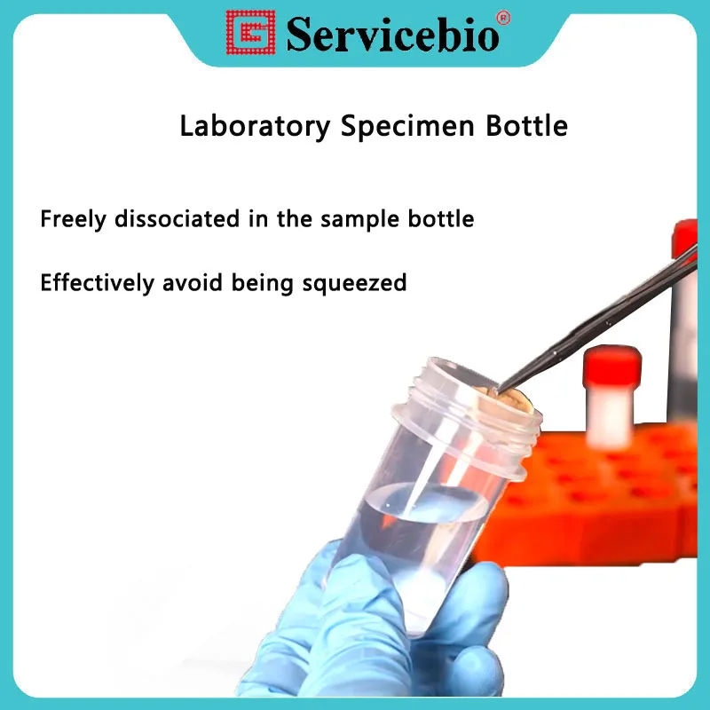 Servicebio-Specimen-Bottle-40ml-Laboratory-Seal-Bottle-Used-for ...
