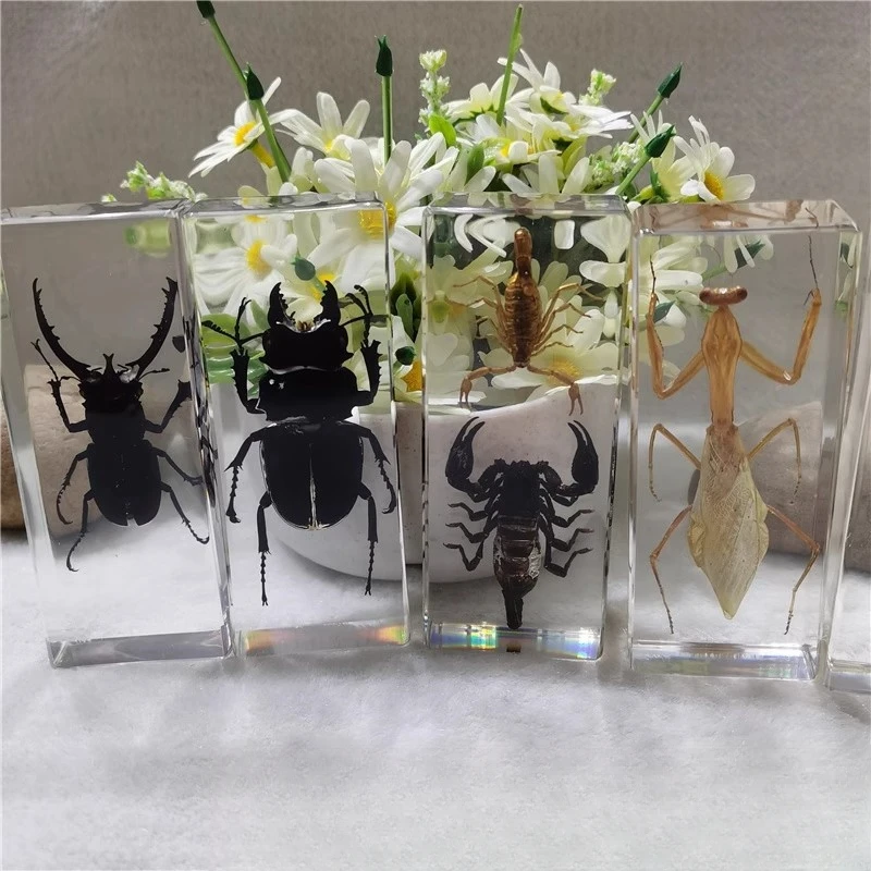 Large-Bug-Specimen-Resin-Insect-Spider-Tarantula-Centipede-Resin-Bug ...
