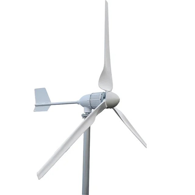 Store Home Products Summer Sale Feedback