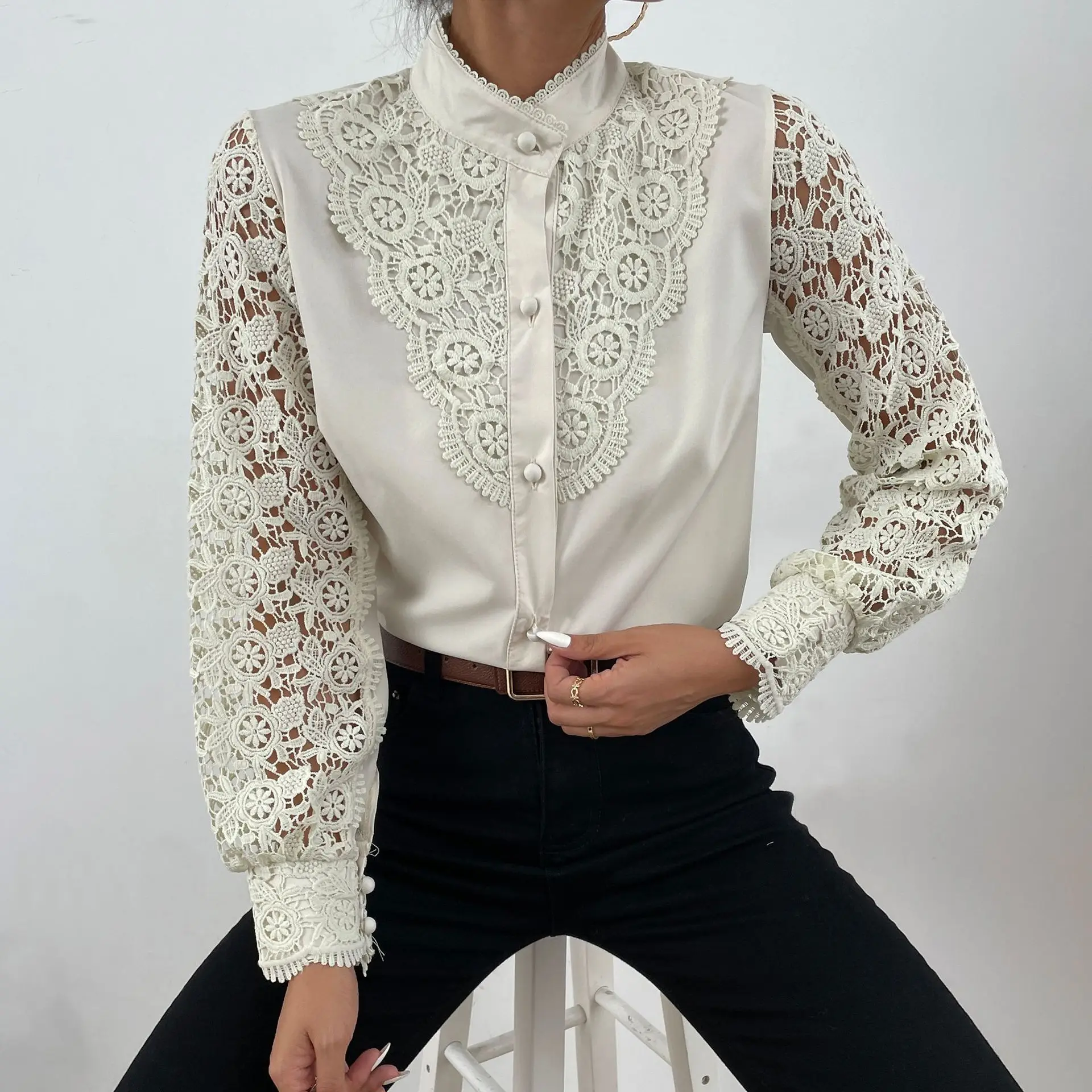 Surprising Long Sleeve Lace Blouse Gallerynull