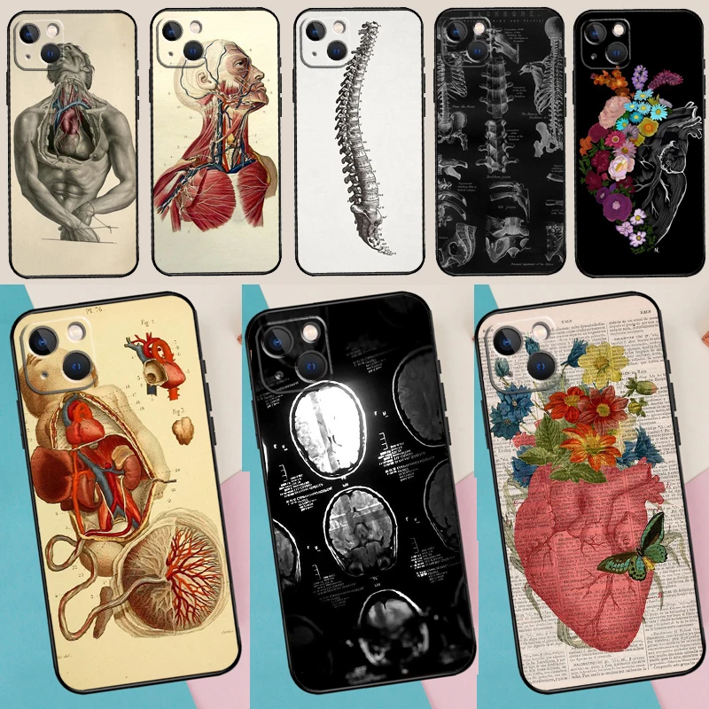Medical Human Anatomy Phone Case For Iphone 14 13 12 Mini 11 Pro Max Se ...