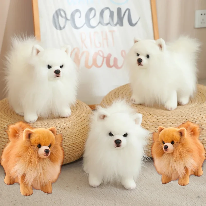 Premium-Simulation-Pomeranian-Dog-Plush-Toy-Cute-Stuffed-Animals-High ...