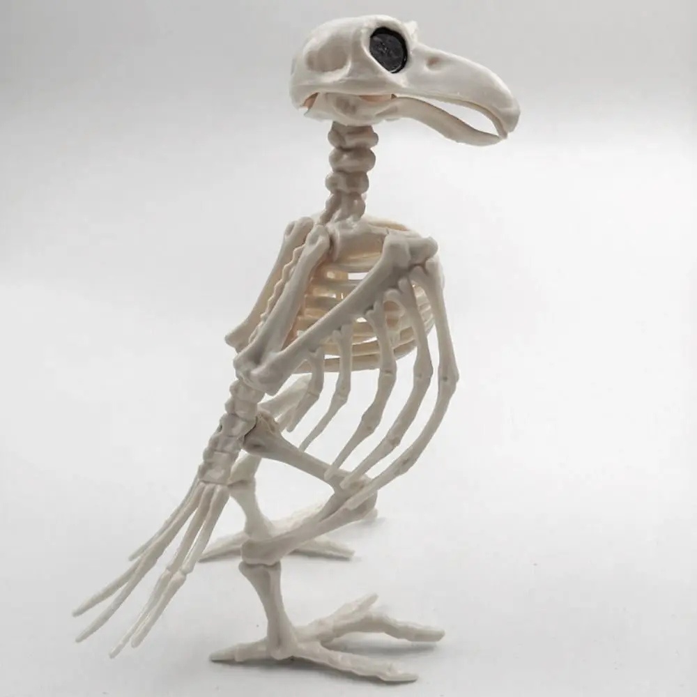 Crazy-Bone-Skeleton-Raven-Plastic-Animal-Skeleton-Bones-Horror ...