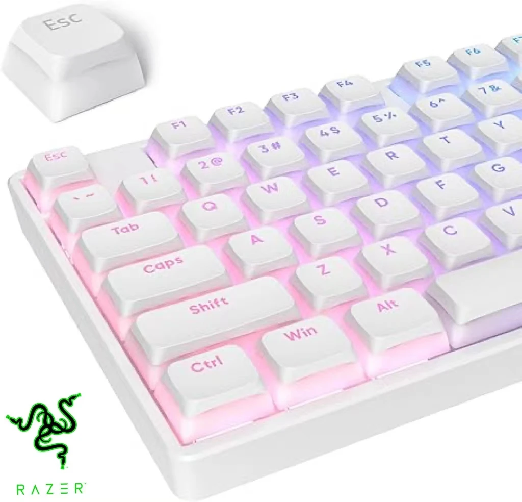 Razer-Keycap-6U-key-Pudding-Keycap-130-Keycaps-ANSI-Layout-PBT-For ...