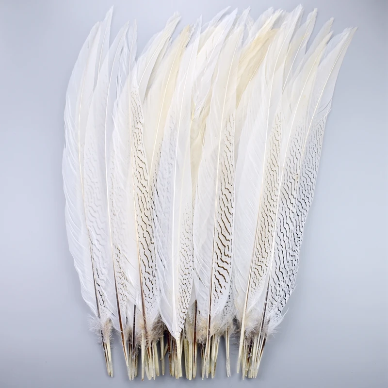 Silver Pheasant Feathers