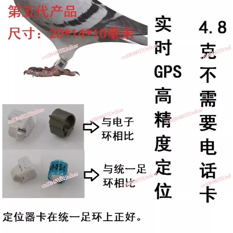 Gps-Pigeon-Tracking-Ring-Mini-Gps-Tracker-for-Parrot-Birds-Pigeon.jpg