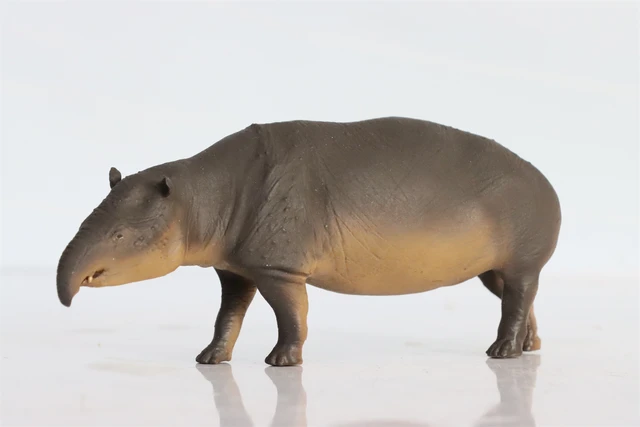 Moeritherium Toy Dinosaur | Meet The Moeritherium, A Distant Relative