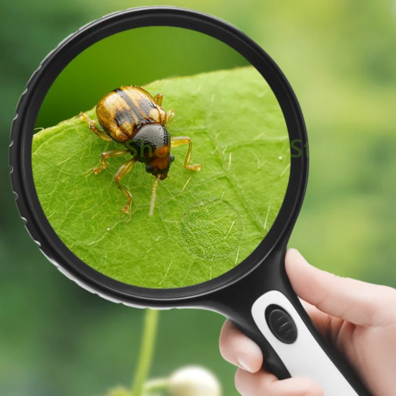 Handheld-Magnifier-145mm-Extra-large-HD-Magnifier-with-LED-Light-for ...