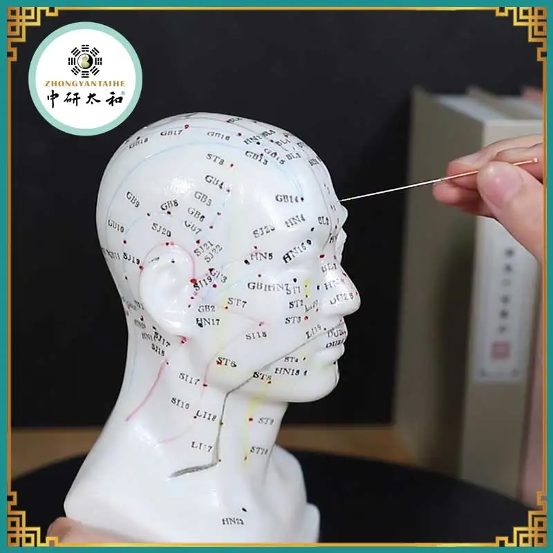 Acupuncture Points Head
