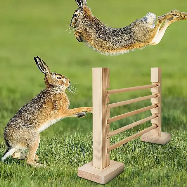 Rabbit Jump Bar Training Games Bunny Toy Interactive Rabbit Exercise ...