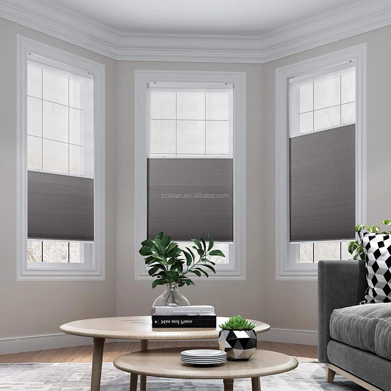 Up Down Window Shades