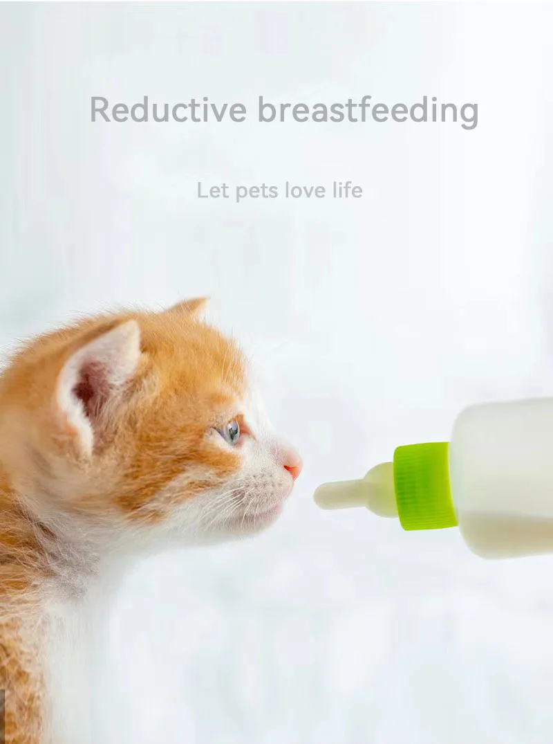 Nice-High-Capacit-Pet-Accessories-Supplies-Kitten-Puppy-Dog-Cat-Nursing-Kit-Milk-Bottle-Nipple ...