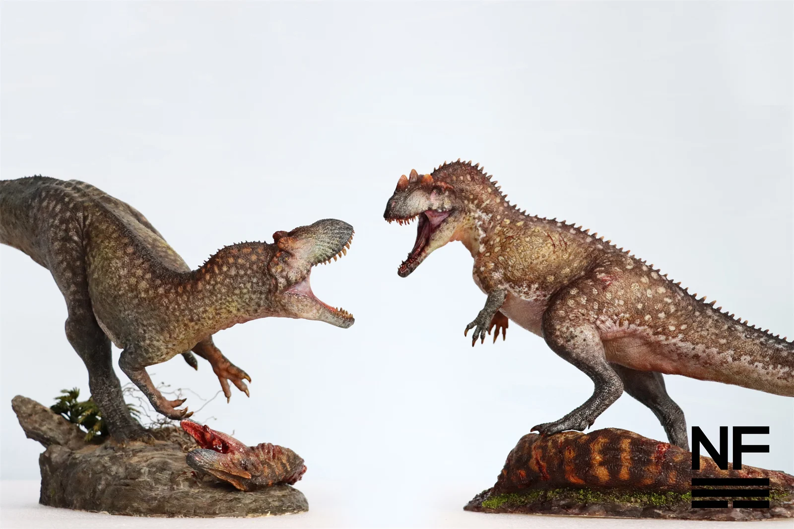 Allosaurus Vs Ceratosaurus