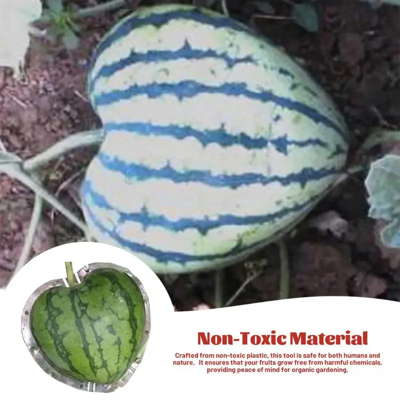 Watermelon Growing Mold, Durable and Professional Heart-Shaped Pumpkin ...