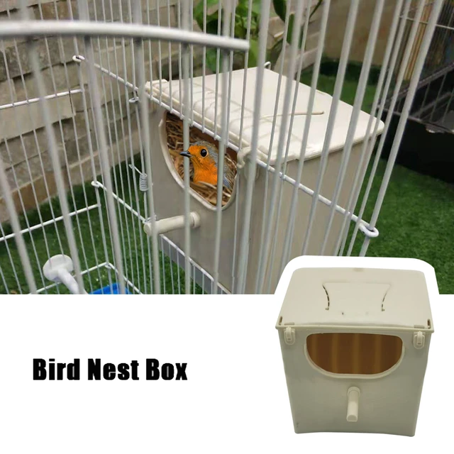 Birds Inside Of Plastic