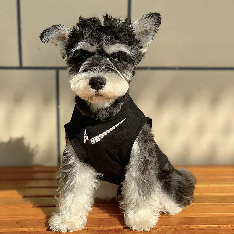 Schnauzer clothes small Daisy dog vest summer thin style cat teddy bee ...