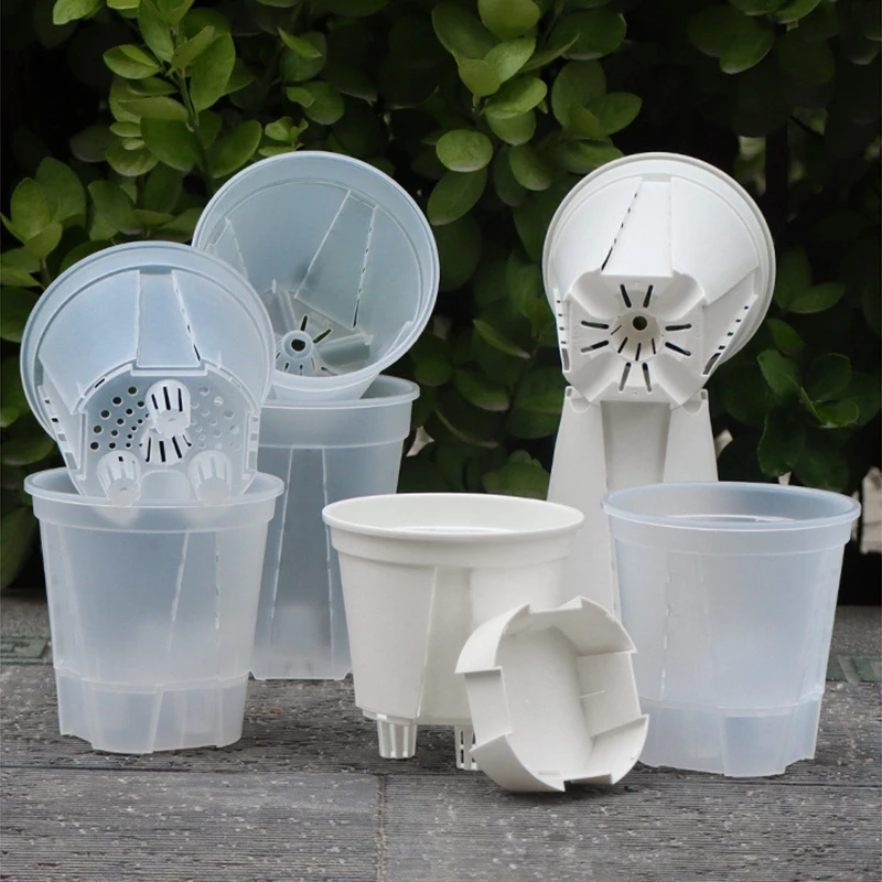 Water Storage Flowerpot Transparent Bonsai Basin Plant Pot Butterfly ...