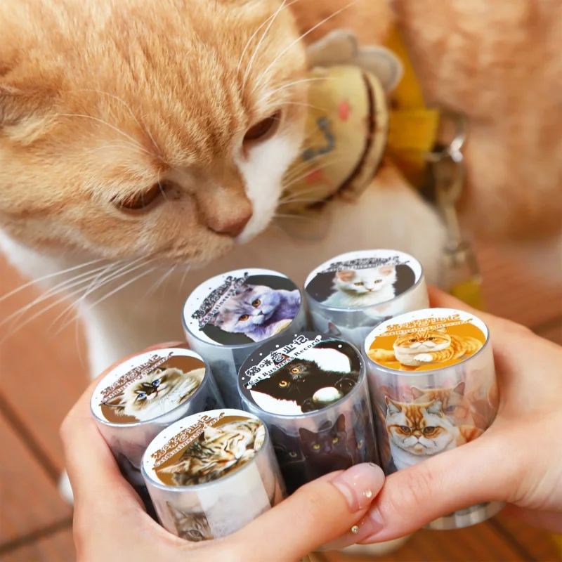 Mr-Paper-6-Style-200CM-Roll-Lovely-Cat-Tape-Waterproof-PET-Handbook ...