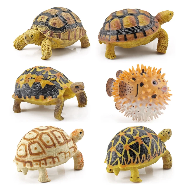 Box Turtle Toys