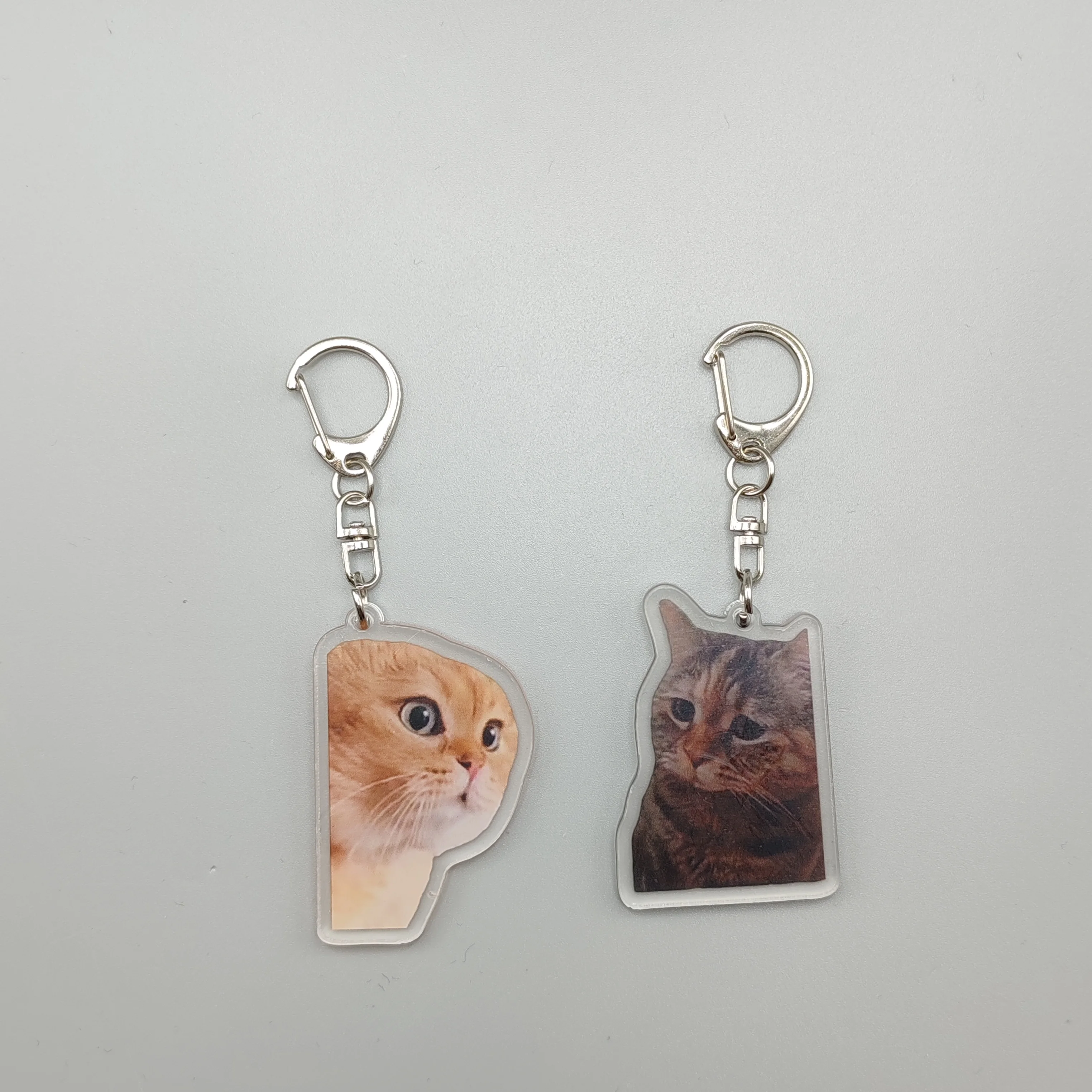 Cat-Trends-Trendy-Keyring-1Psc-Keychain-Two-Cats-Talking-Meme-Keyring ...